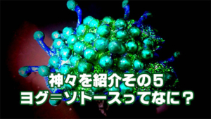ヨグ＝ソトースってなに？－神々を紹介その5 | 初心者のためのクトゥルフ神話TRPGラボ